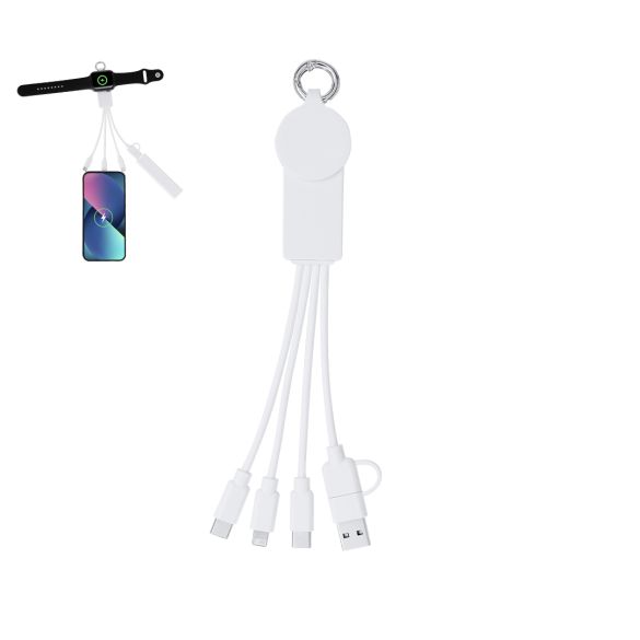Câble de charge 5 en 1 "Lexia"